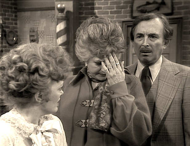 The Ten Best MAUDE Episodes of Season Five | THAT'S ENTERTAINMENT!